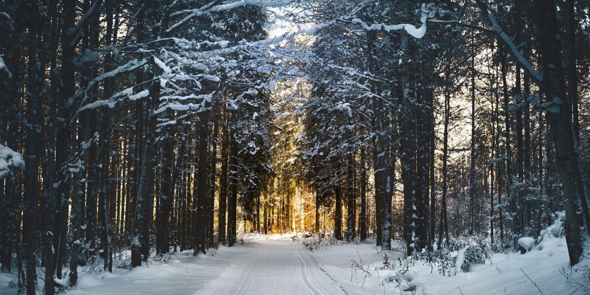 Peira Cava ski resort: mountain domain in Mercantour National Park