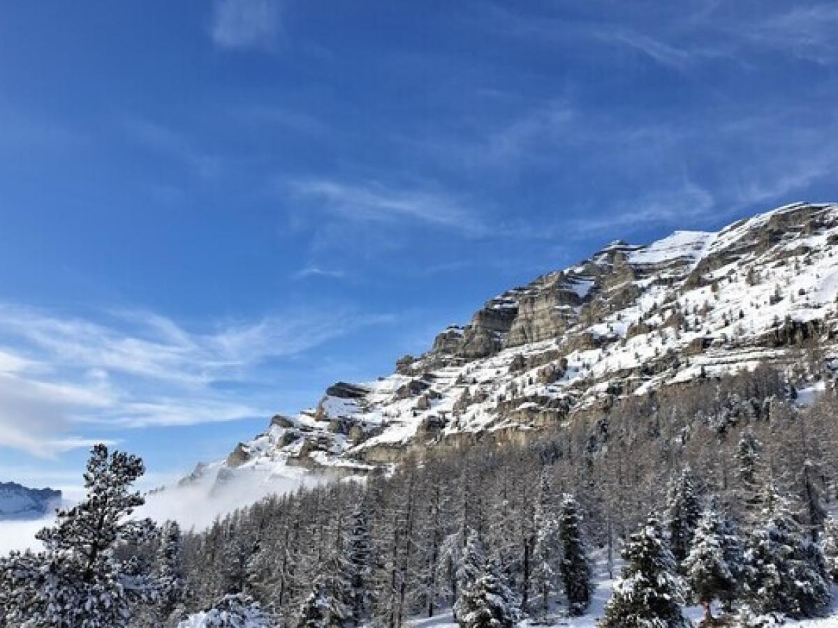 10 choses à savoir sur le Sud pour briller au réveillon | Provence ...