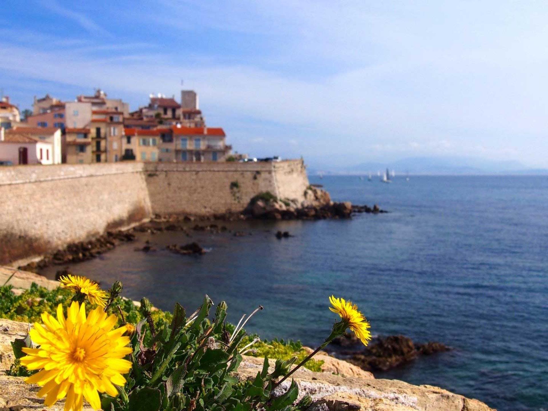 Best museums in Nice: unmissable visits | Provence-Alpes-Côte d'Azur ...