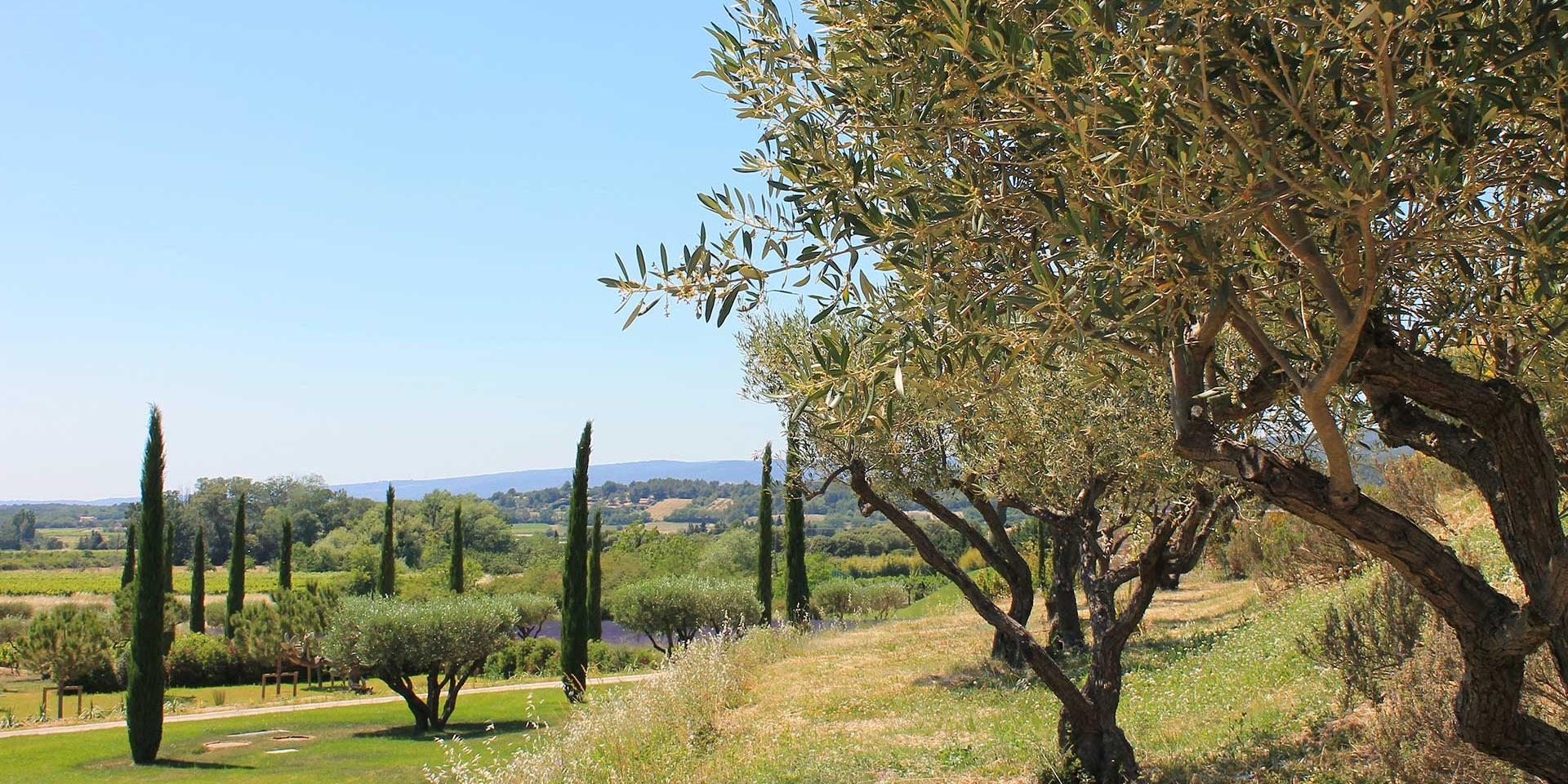 Apt tourism: Roman city of the Luberon | Provence-Alpes-Côte d'Azur Tourism