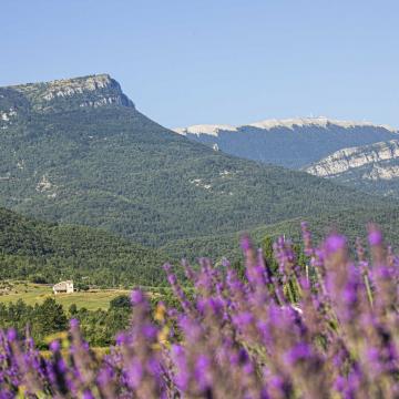 Montagne de Lure | Provence-Alpes-Côte d'Azur Tourisme
