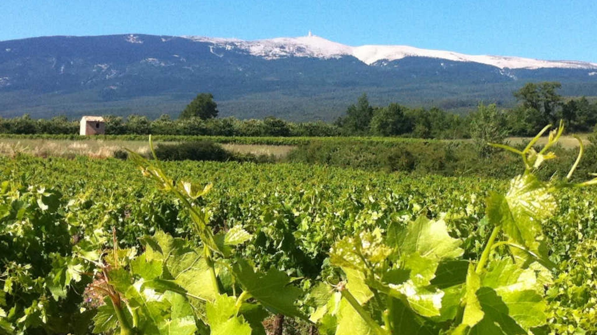 Visiter le Mont Ventoux en voiture à la découverte des plus beaux villages du Vaucluse