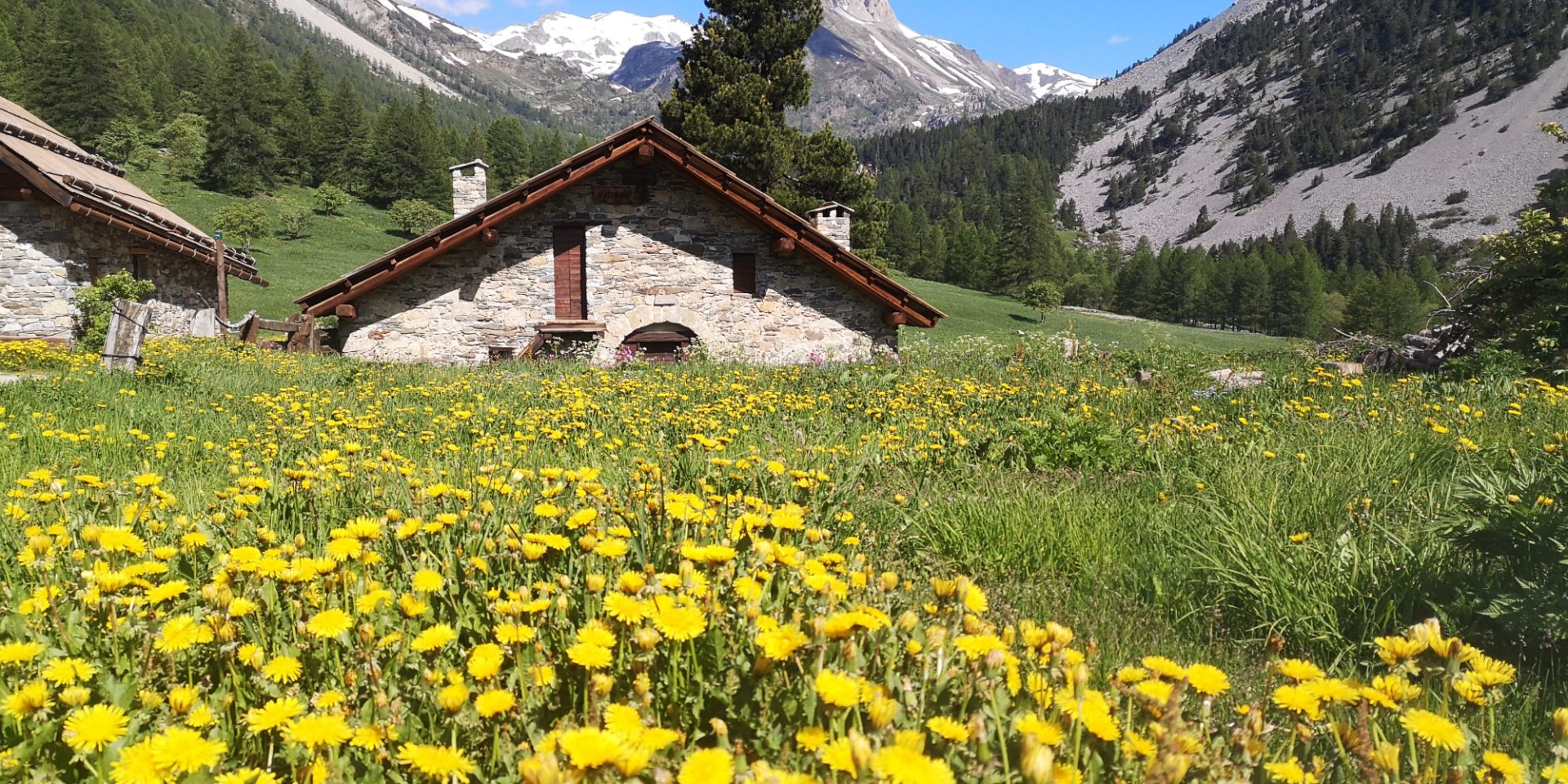 Your Guide to the Scenic Alpine Valleys of the French Southern Alps