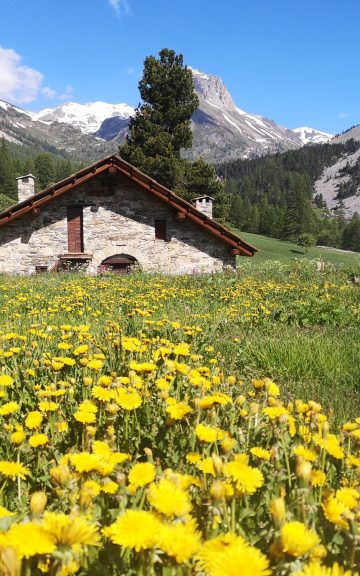 The best things to do in and around Gap – gateway to the Alps