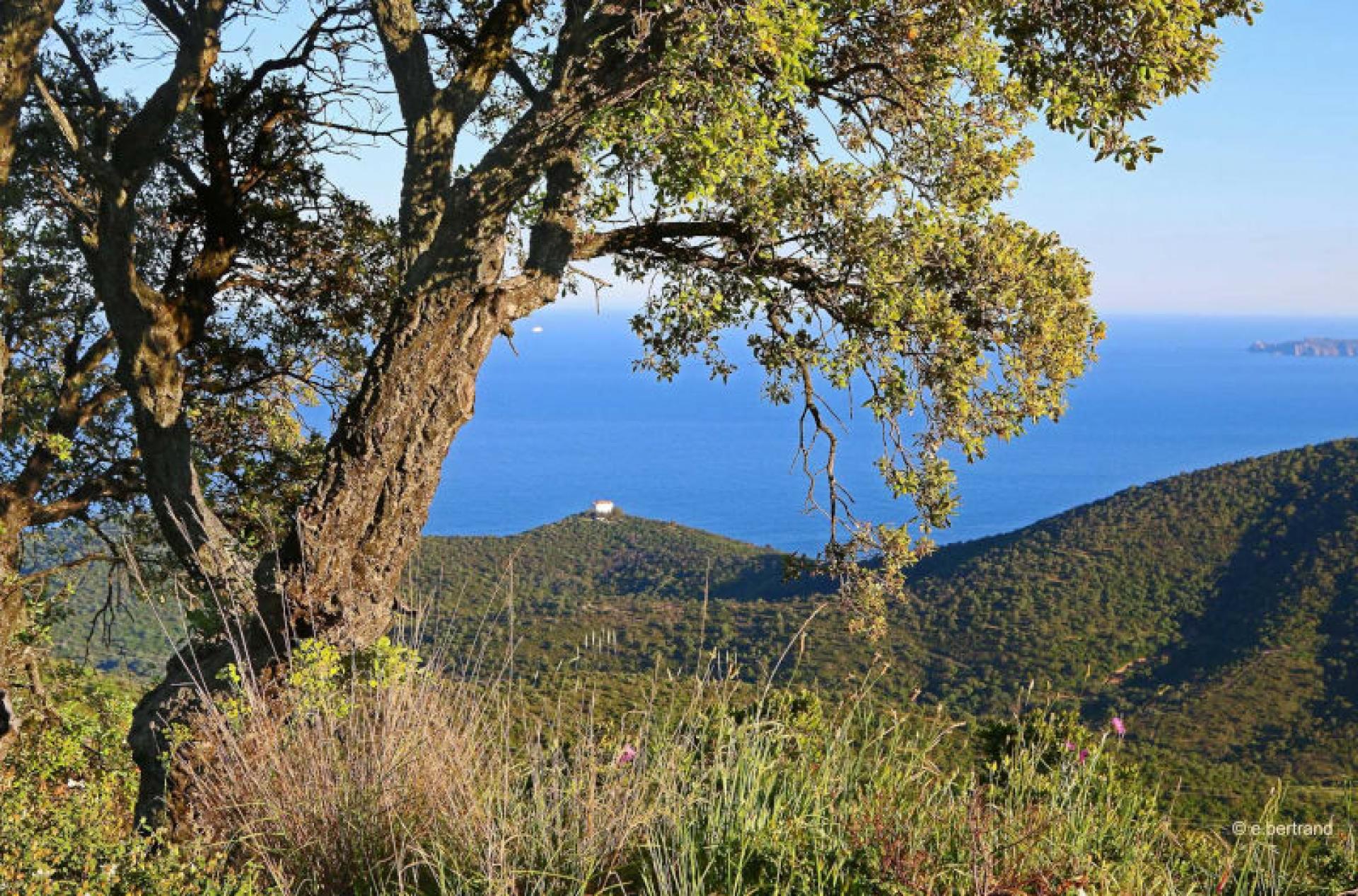 Gonfaron tourisme dans le Var (83590)