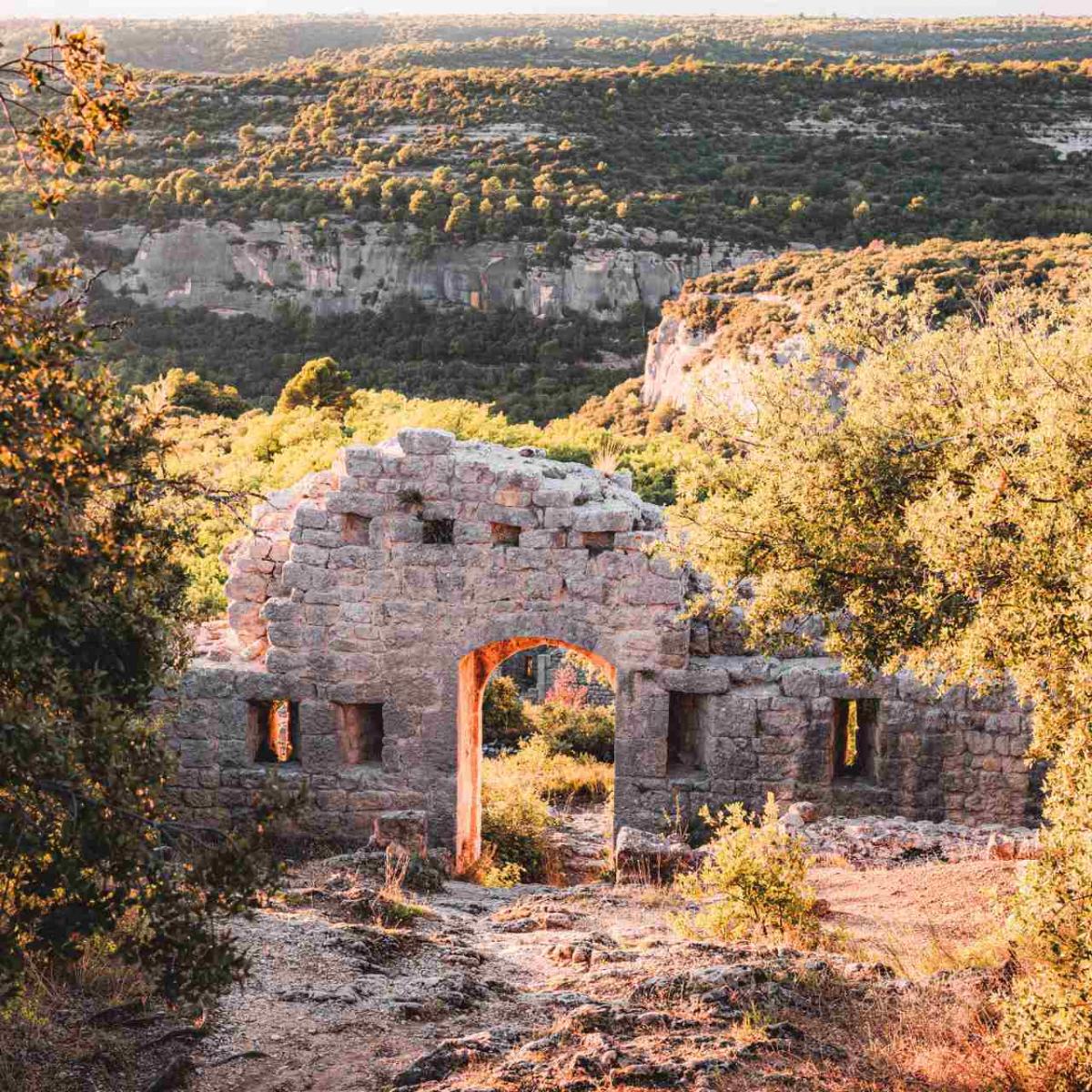 Le Massif du Tanneron | Provence-Alpes-Côte d'Azur Tourisme