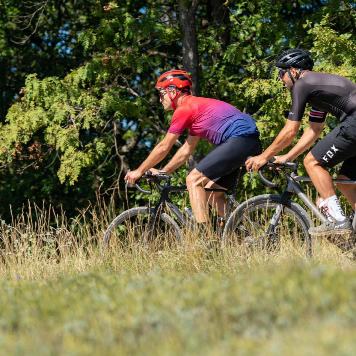 VTT | Provence-Alpes-Côte d'Azur Tourisme