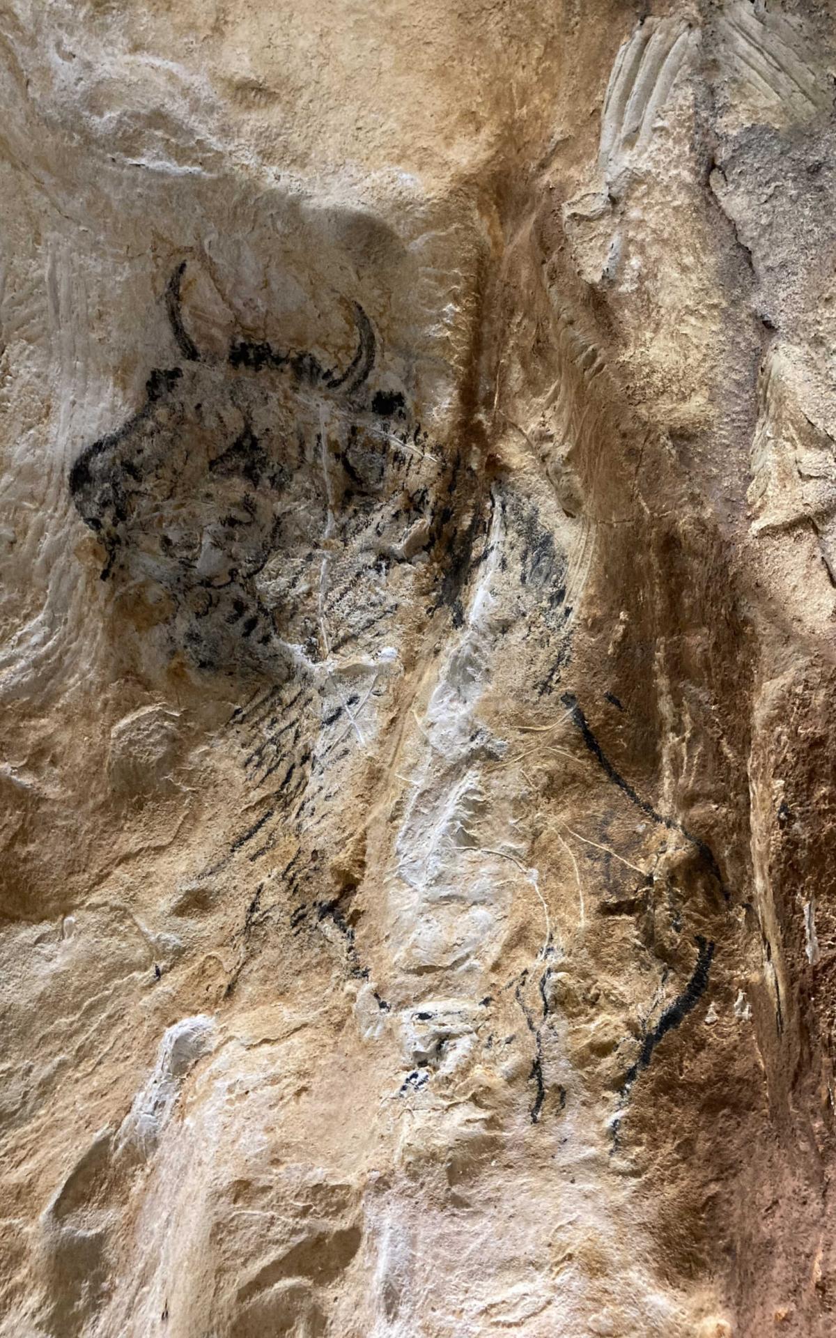 Cosquer Cave Marseille, from Sea to Land | Provence-Alpes-Côte d'Azur ...