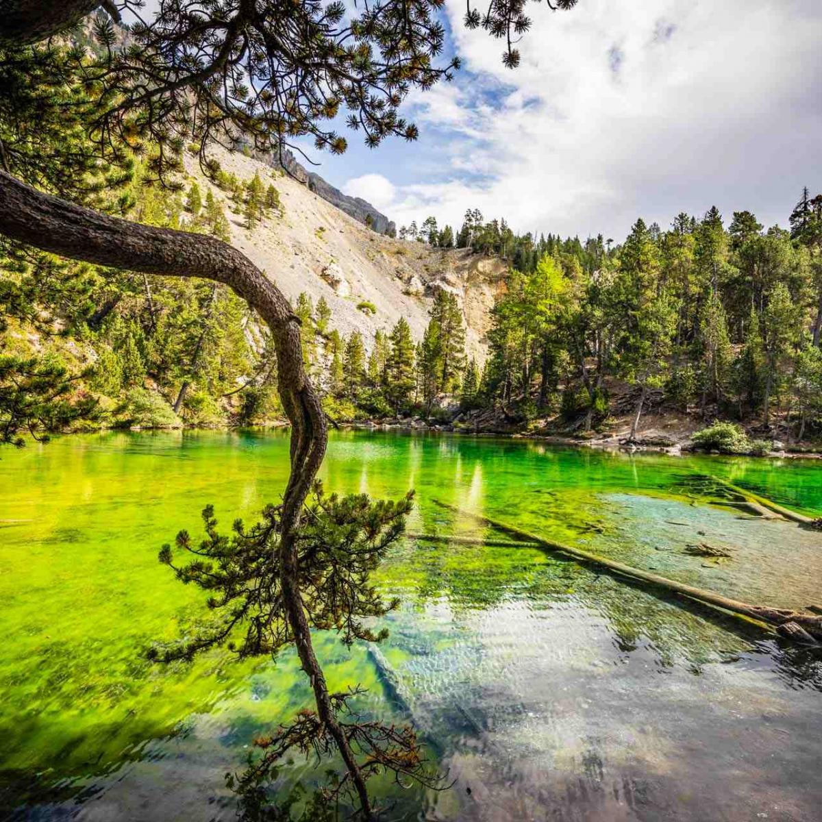 Top 3 family hikes in the southern French Alps! | Provence-Alpes-Côte d ...