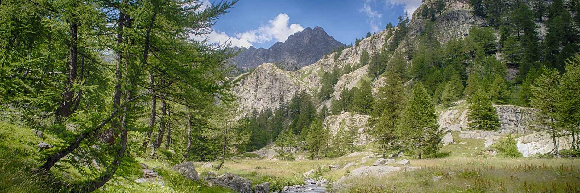 Plunge into nature with these outdoor activites in the Southern Alps ...