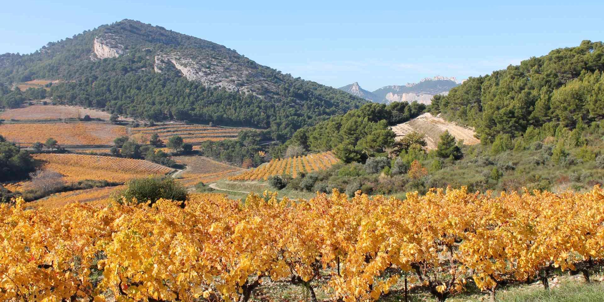 5 bonnes raisons de voyager hors saison | Provence-Alpes-Côte d'Azur ...