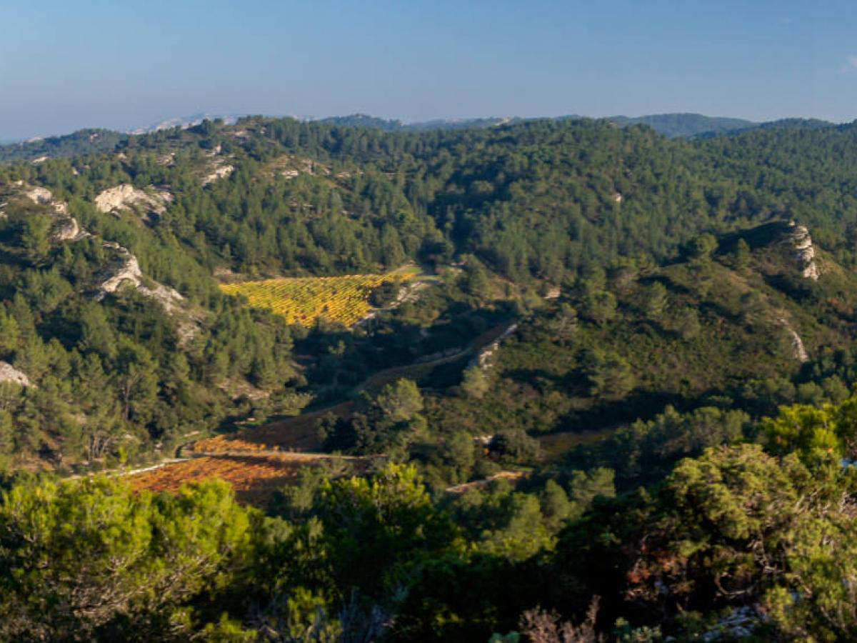 Explore the natural areas of Provence-Alpes-Côte d’Azur