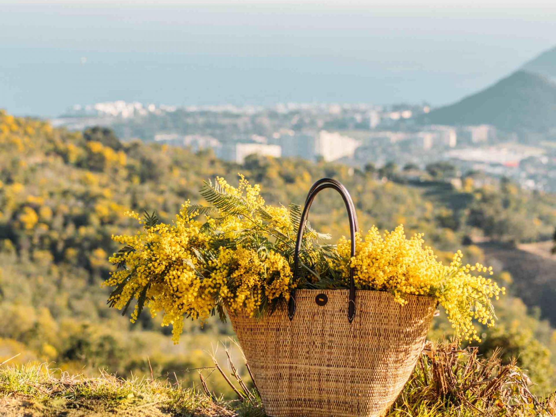 Le Massif du Tanneron | Provence-Alpes-Côte d'Azur Tourisme