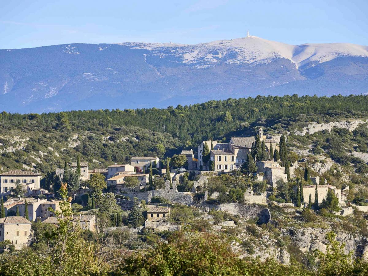 Top 8 walks for a different angle on the Ventoux Regional Nature ...