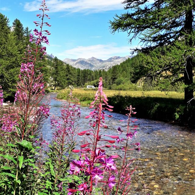 Névache tourisme dans les Hautes-Alpes (05100)