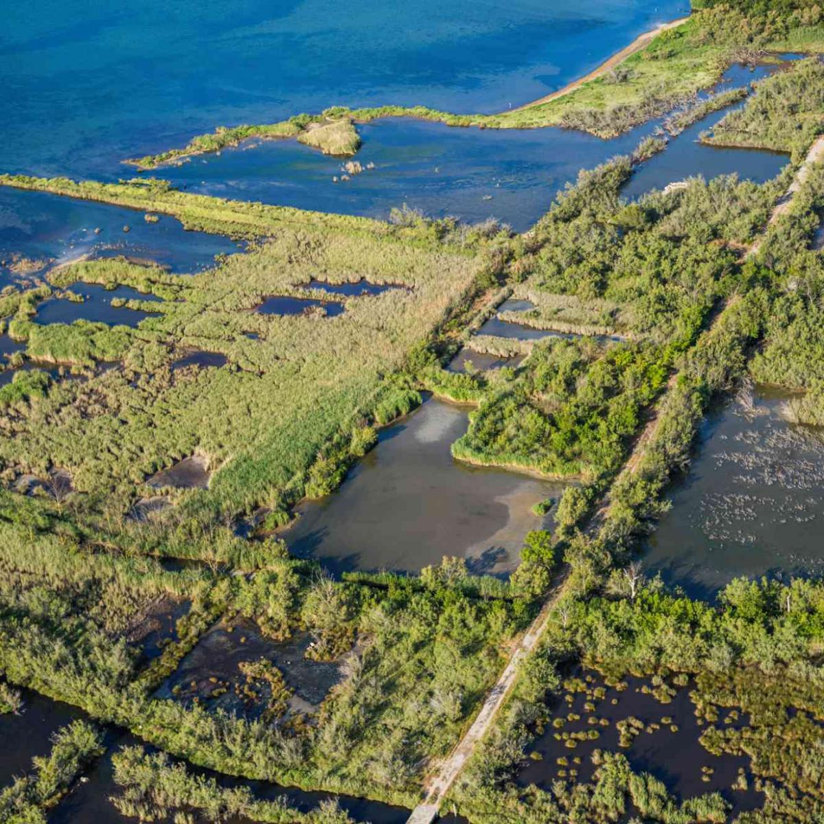 Focus on the coastal wonders of Provence Focus on the coastal wonders ...