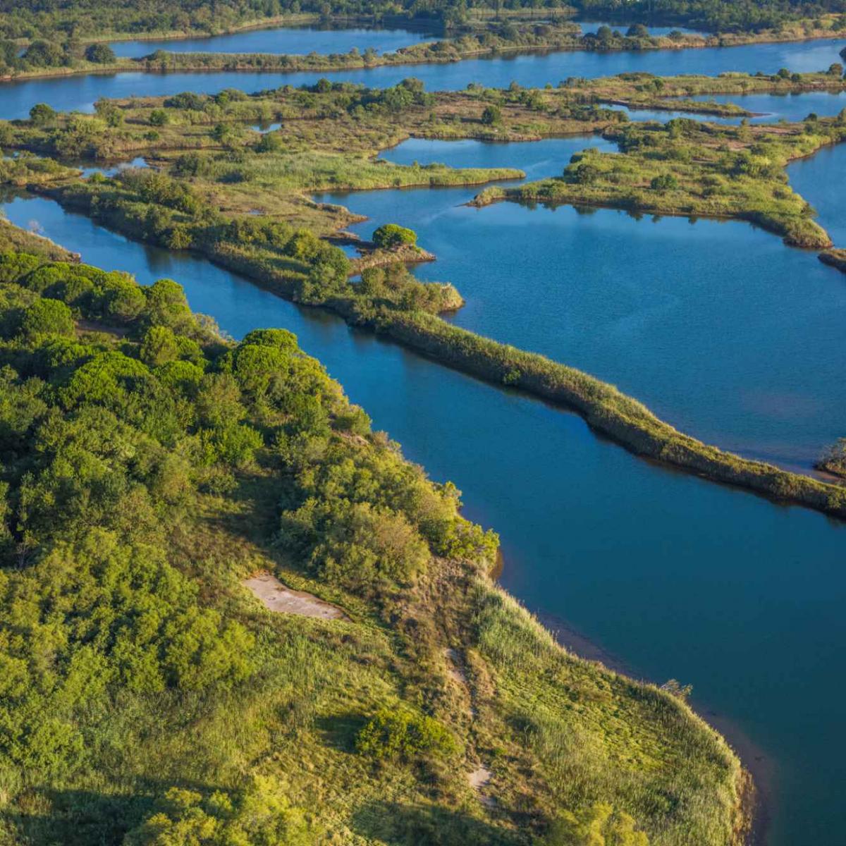 A la découverte des pépites littorales de la Côte d’Azur | Provence ...