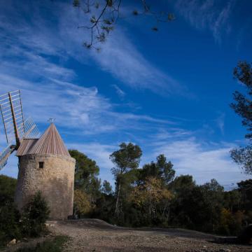 When Queen Elizabeth II Visited Provence | Provence-Alpes-Côte d'Azur ...
