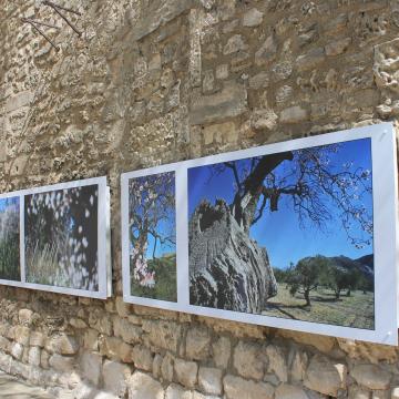 When Queen Elizabeth II Visited Provence | Provence-Alpes-Côte d'Azur ...