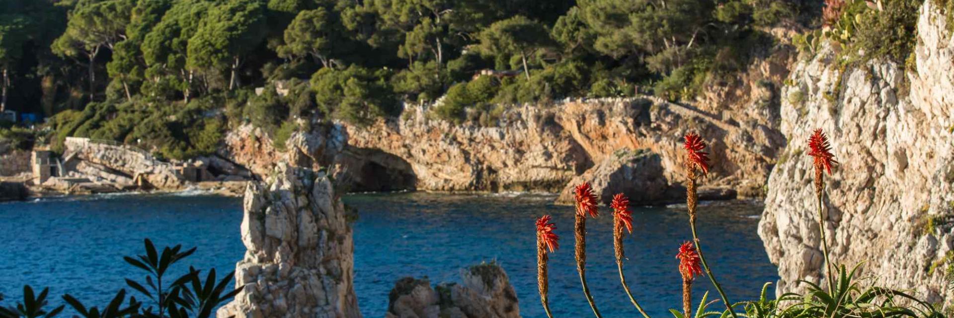 Cap sur les merveilles littorales de Provence | Provence-Alpes-Côte d ...