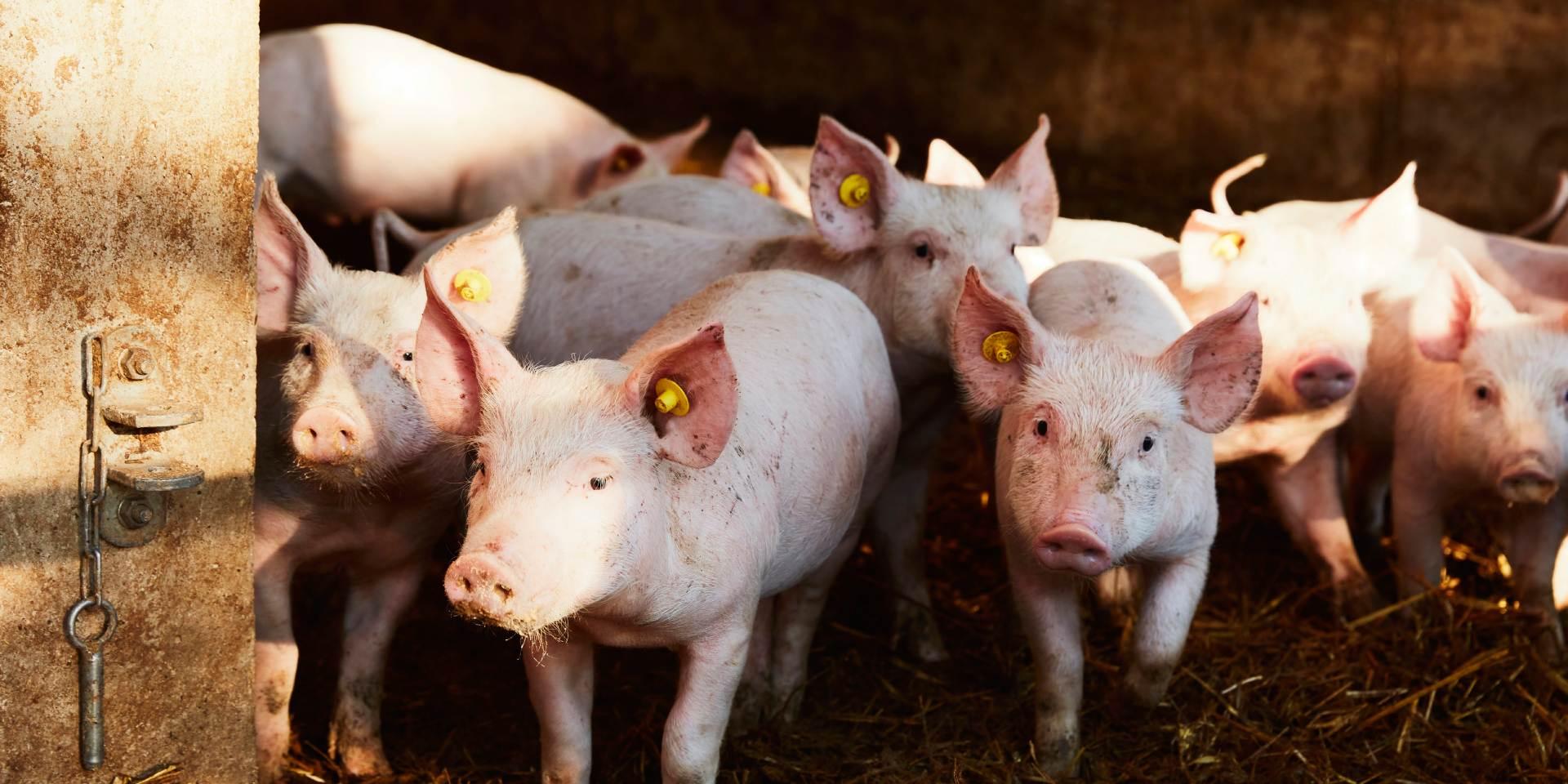 Découverte des fermes pédagogiques de Provence-Alpes-Côte d’Azur ...