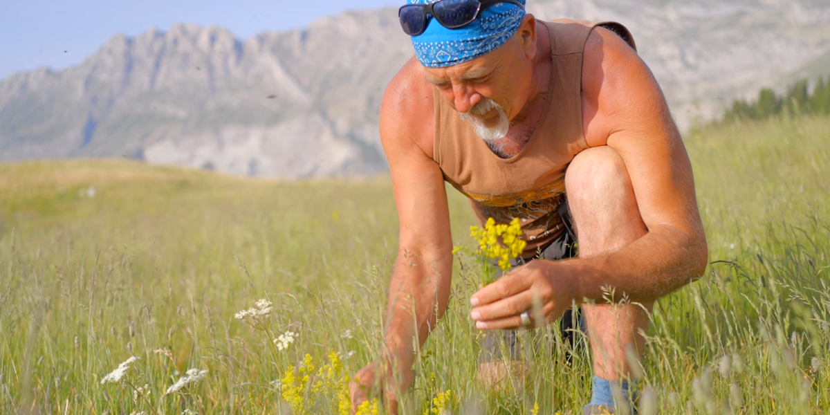 Portrait de Luc Bernard, paysan herboriste dans le massif du Dévoluy ...