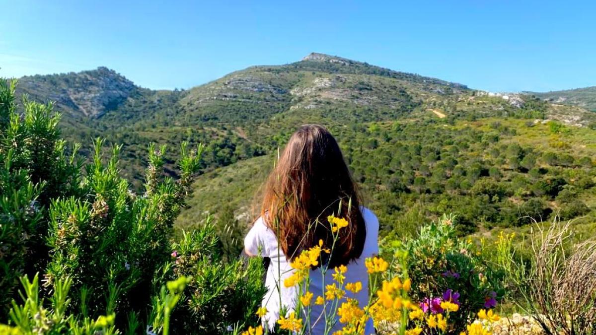 Provence-Alpes-Côte d’Azur – Comité Régional de Tourisme Sud (PACA)