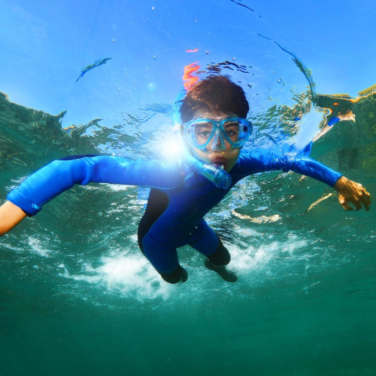 Top 6 not-to-be-missed diving spots in the South of France | Provence ...