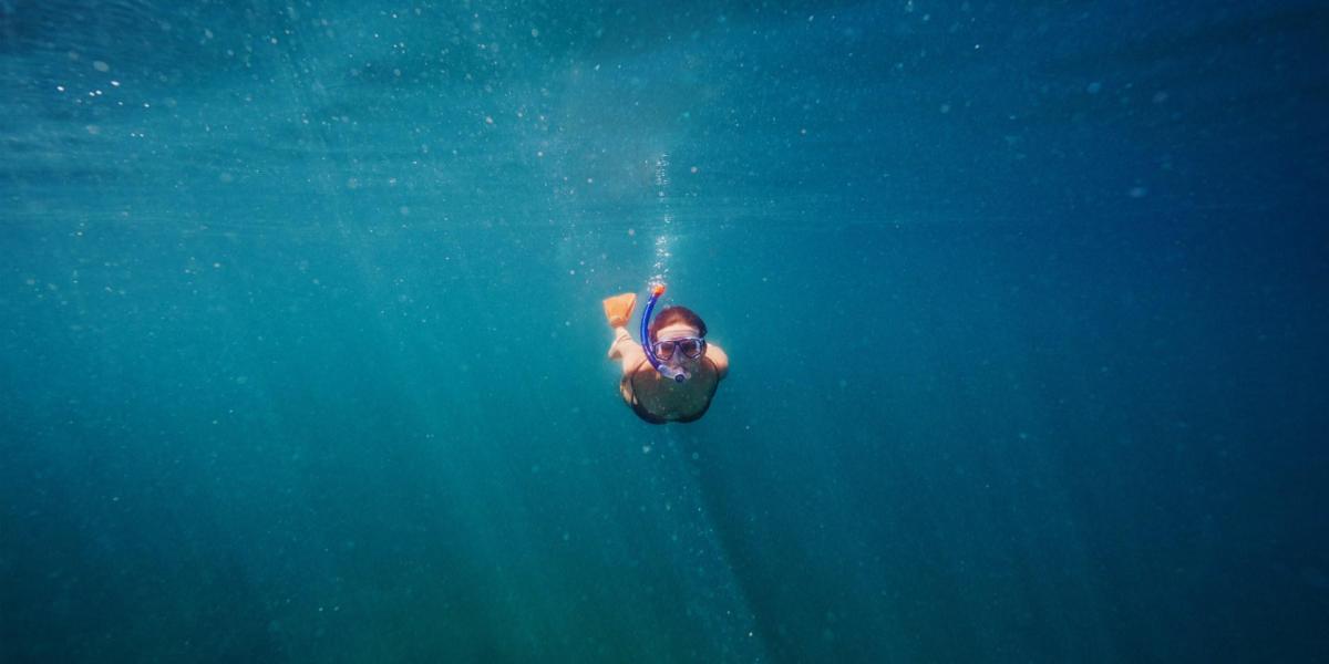 Top 6 des spots de plongée incontournables du Sud | Provence-Alpes-Côte ...