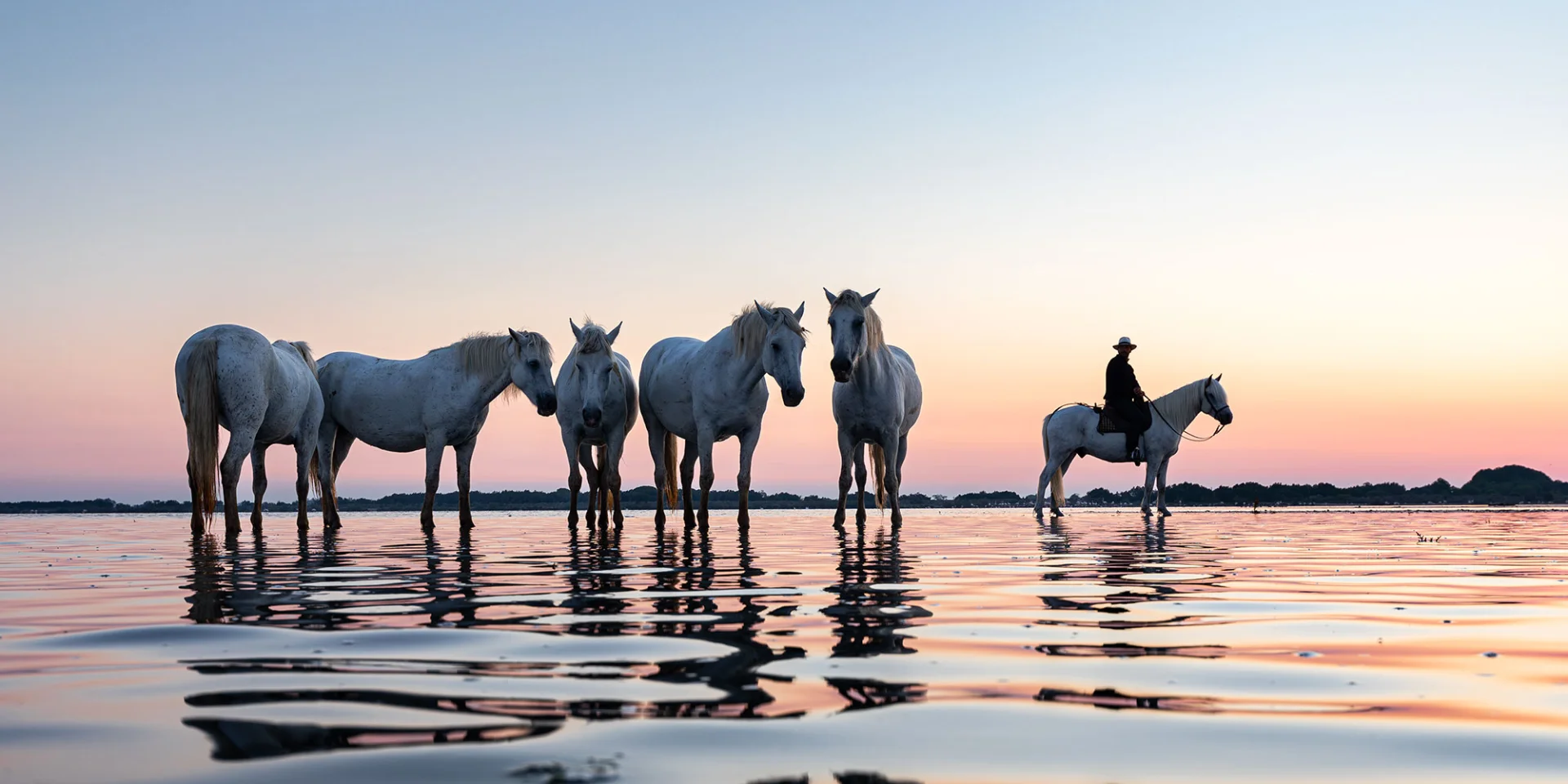 The Camargue Coast: Discover the Wild West of France