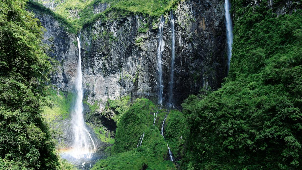 Cascades et bassins de La Réunion