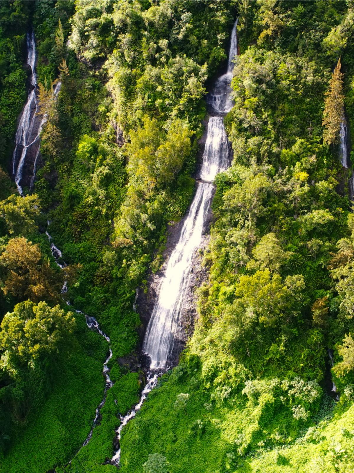 Sitarane | Île de la Réunion Tourisme