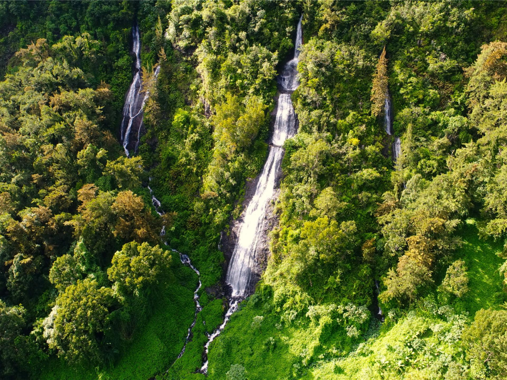 Les Histoires et fables de La Réunion