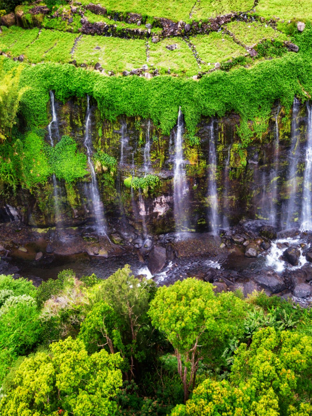 Découvrez | Île de la Réunion Tourisme