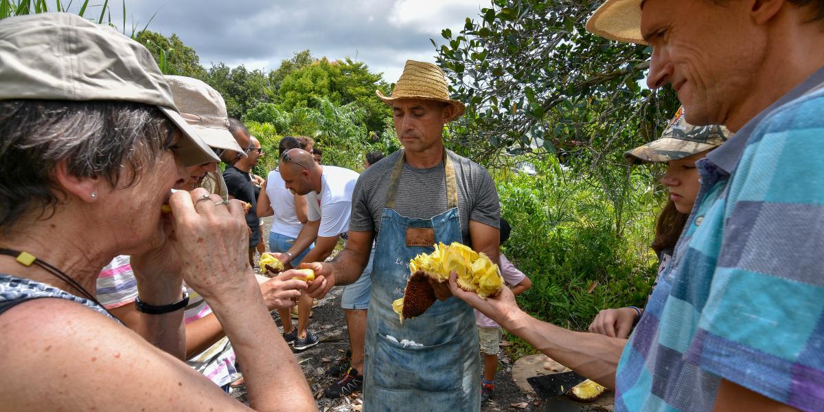 Creole flavours, from field to the plate | Île de la Réunion Tourisme