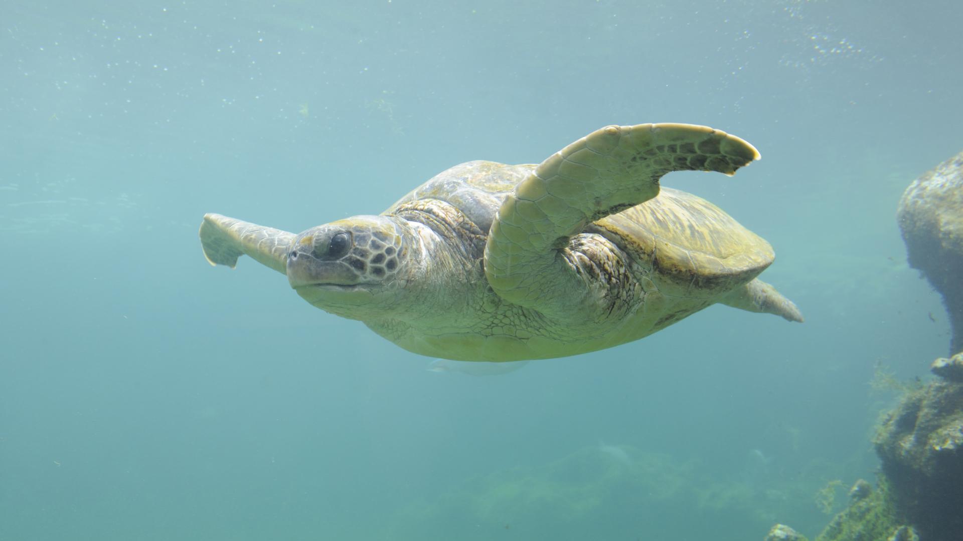 Tourist sites | Île de la Réunion Tourisme