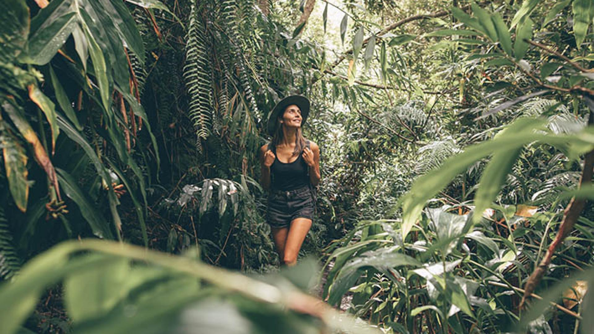 Nature de La Réunion :notre top 5 des plus beaux spots