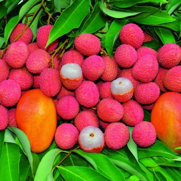 Letchis | Île de la Réunion Tourisme