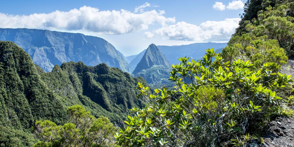 Hikes on Reunion Island: discover our top 5