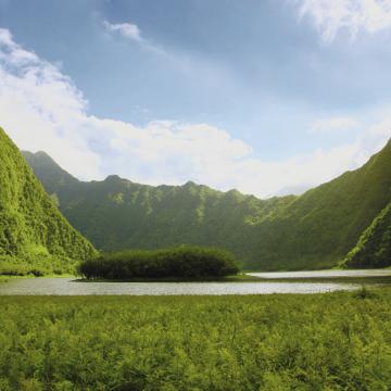 Les plaines | Île de la Réunion Tourisme