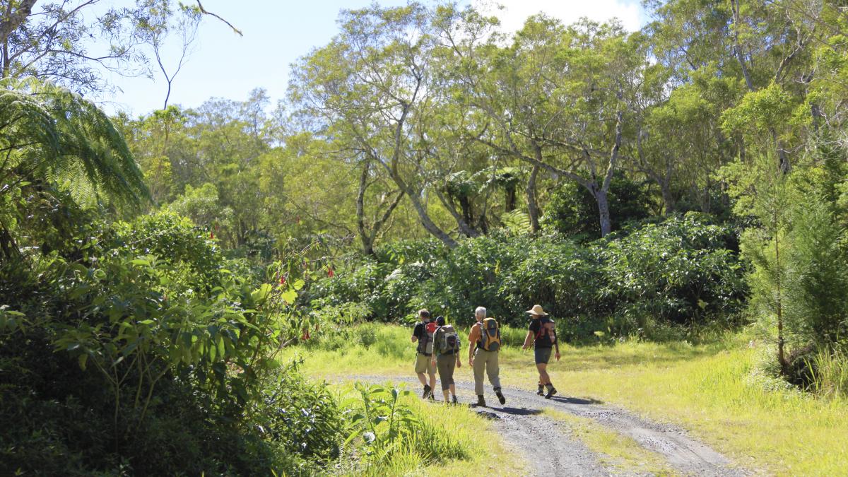 Nature de La Réunion :notre top 5 des plus beaux spots
