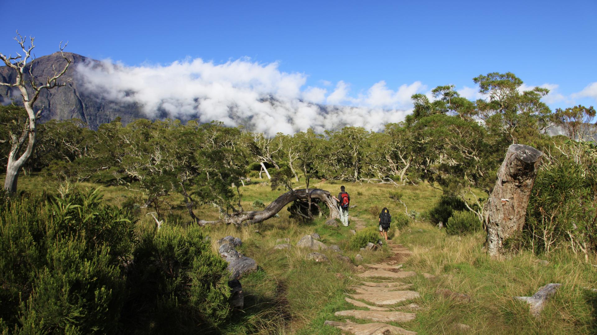 Wandern auf La Réunion | Île de la Réunion Tourisme
