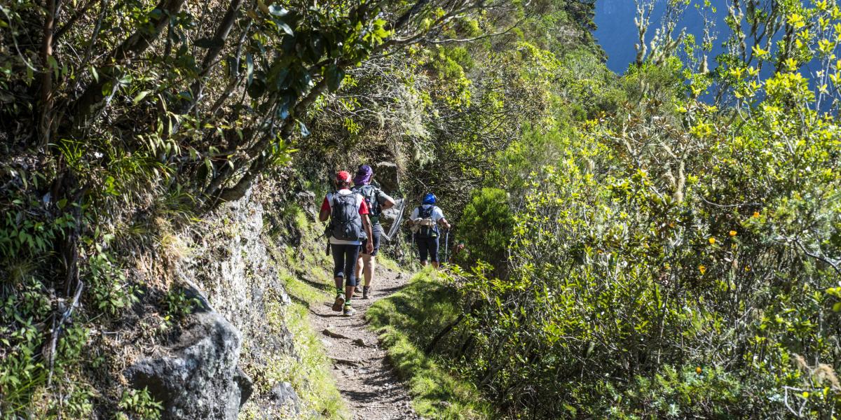 Hikes on Reunion Island: discover our top 5
