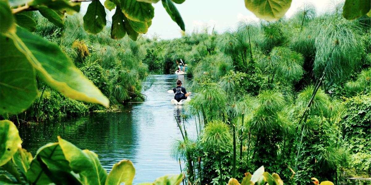 Le parc national de La Réunion | Île de la Réunion Tourisme