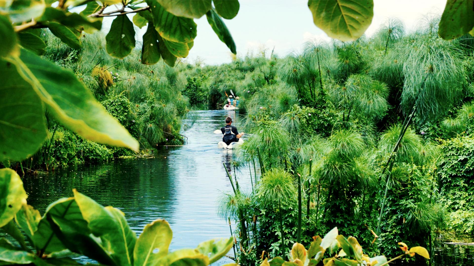 La Réserve Naturelle Nationale de l’Etang Saint-Paul | Île de la ...