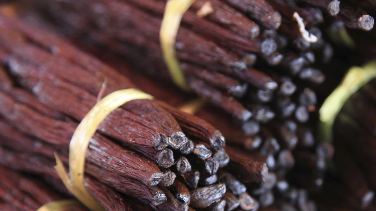 Das rote Fisch-Cari | Île de la Réunion Tourisme