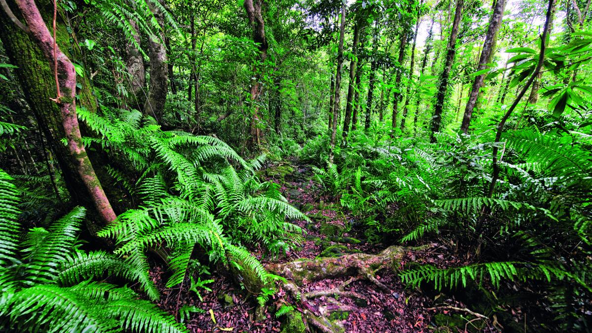 So erholsam | Île de la Réunion Tourisme