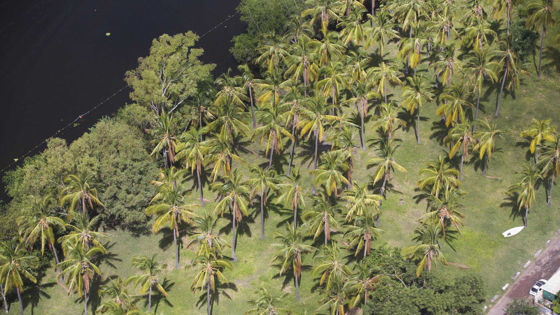 Intensément authentique | Île de la Réunion Tourisme