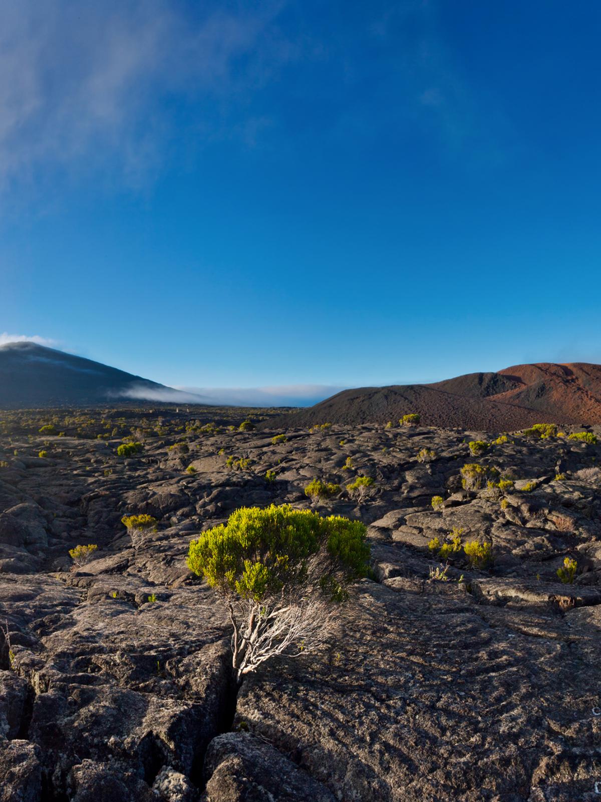 Reunion Island, a training ground | Île de la Réunion Tourisme