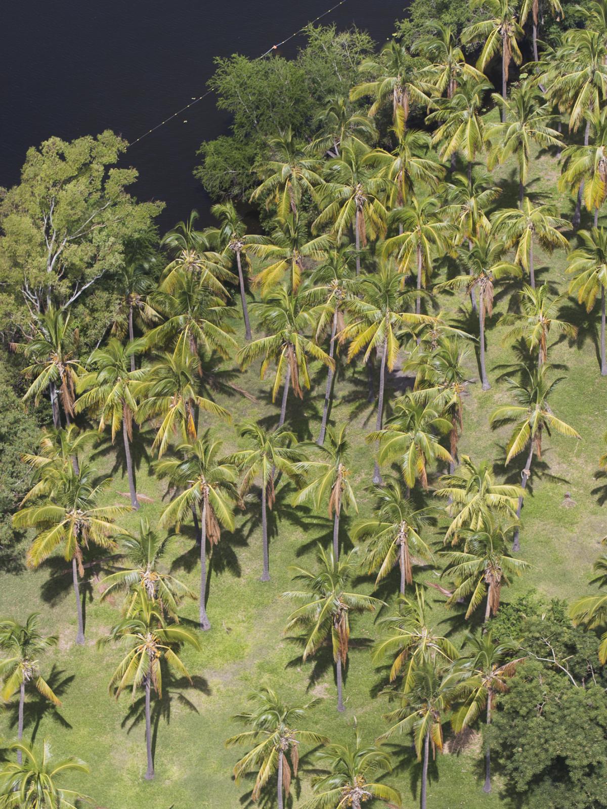 Découvrez | Île de la Réunion Tourisme